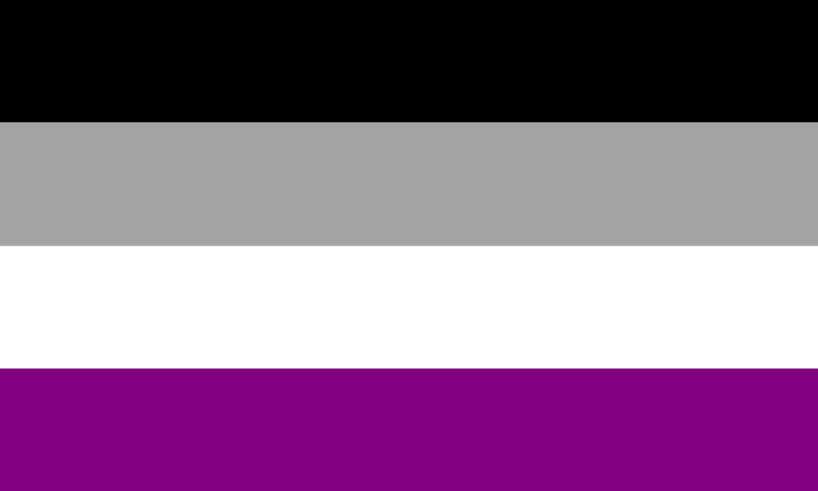 The Meanings Behind LGBTQIA+ Flags: A Guide to Understanding Their ...