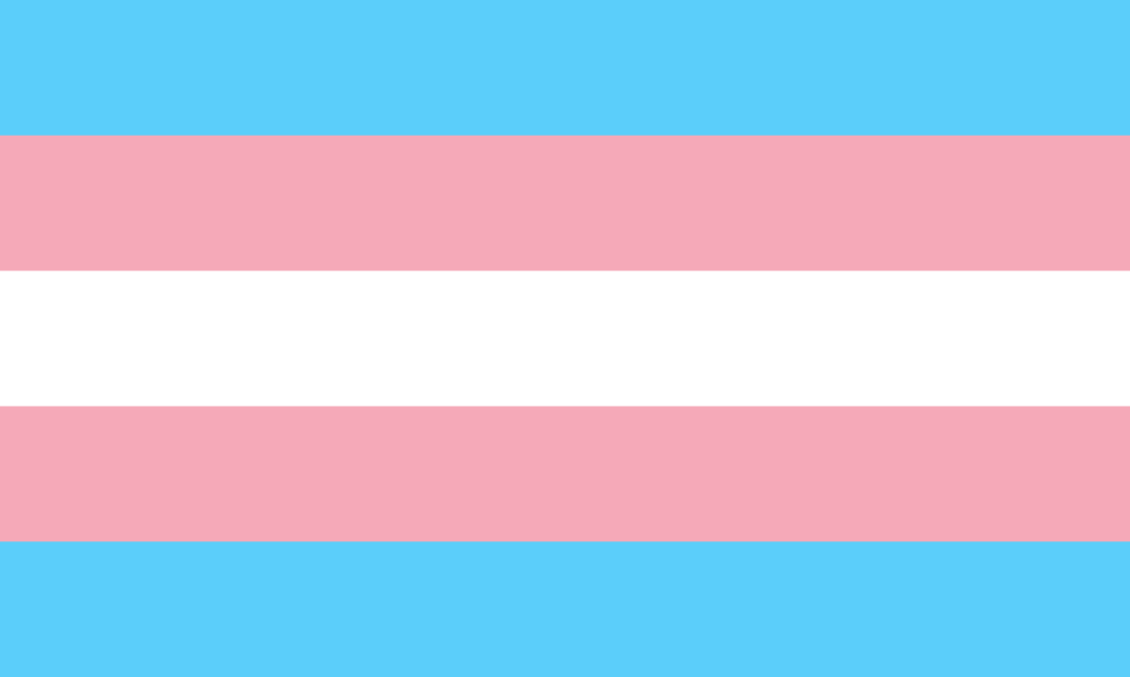The Meanings Behind LGBTQIA+ Flags: A Guide to Understanding Their ...