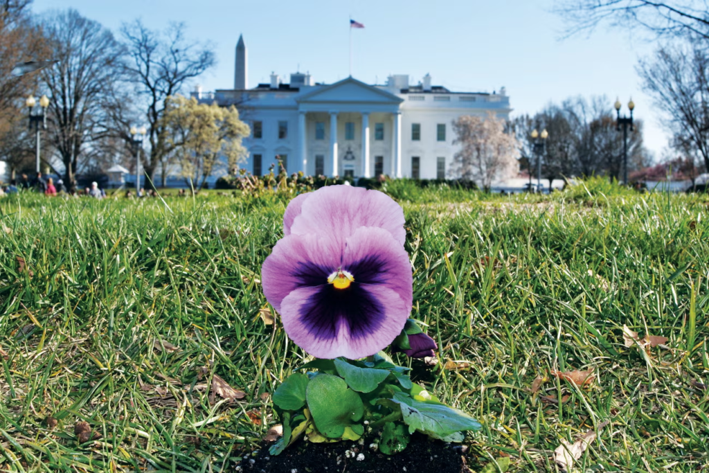 Queer Nature: Celebrating the Botanical Diversity that Inspires and ...