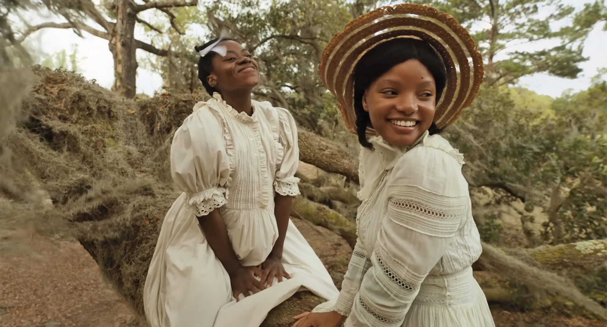 The Color Purple's New Twist: Celie's Queer Story Takes Center Stage ...