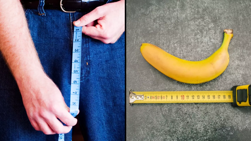 World's Largest Average Penis Size Revealed by Country - The Pink Times