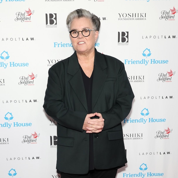 Rosie O'Donnell's Stunning Facelift Reveal - The Pink Times