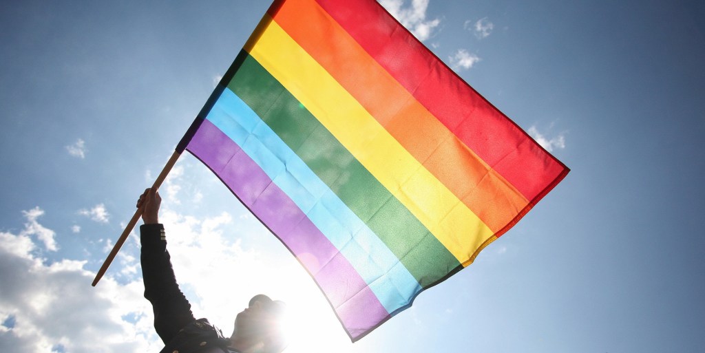 Flags of Pride: What They Mean - The Pink Times